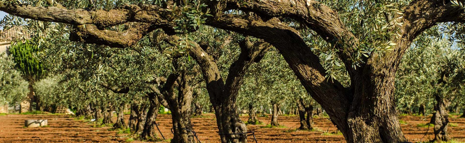 Contact Us - Liquid Manufacturing Solutions, Inc.